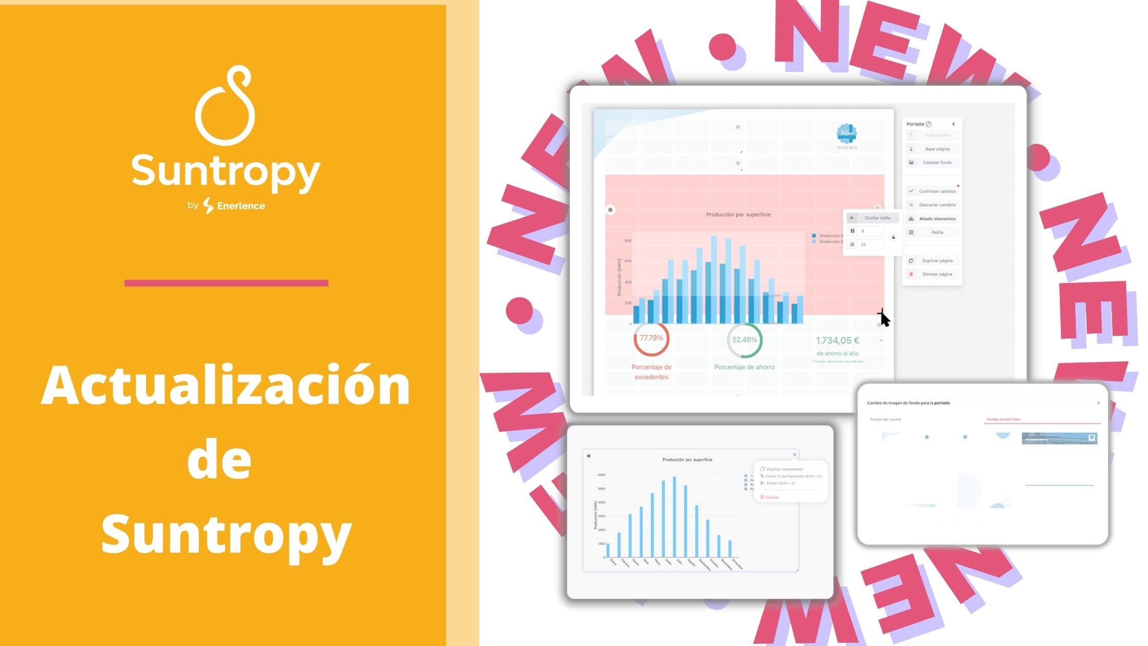 Suntropy - Software de Estudios de Autoconsumo